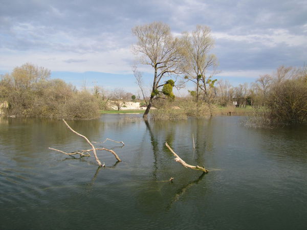 Le Réservoir Fédéral de La Node - Lac, étang Prignac - Lacs, étangs 17 ...