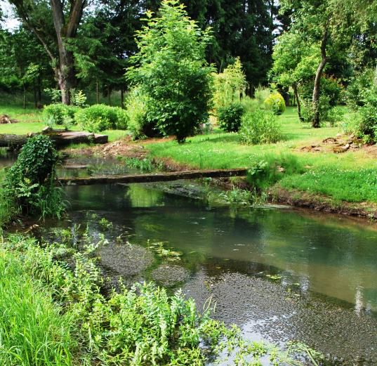 Le Rupt de Mad - Rivière Bouillonville - Rivières 54 - Atout Pêcheur ...